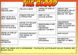 2019 - Blood Activity and Worksheet Pack | Teaching Resources