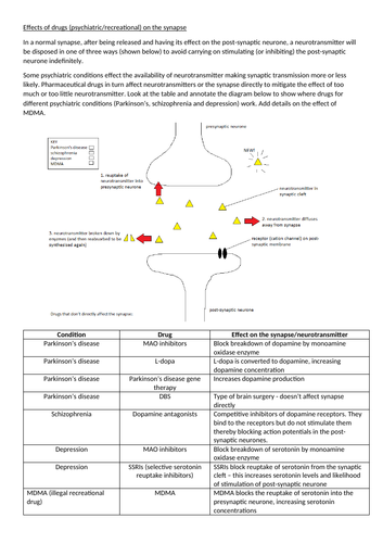 Effects of drugs (psychiatric/recreational) on the synapse | Teaching ...