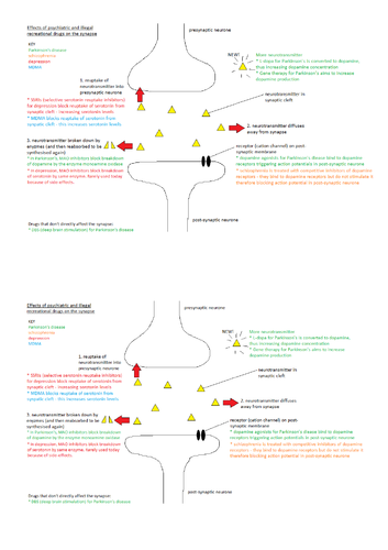 Effects of drugs (psychiatric/recreational) on the synapse | Teaching ...
