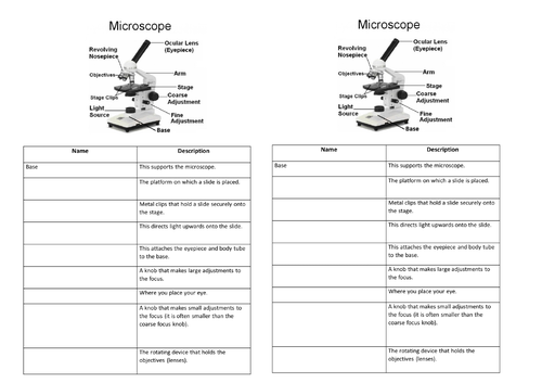 Microscopes and magnification PPT and worksheet | Teaching Resources