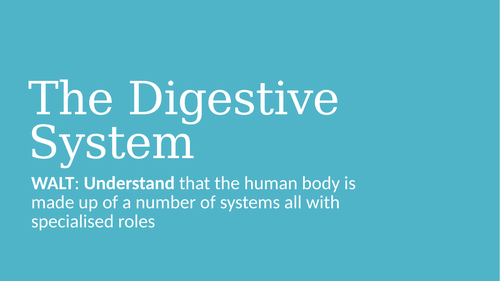 The Digestive System PPT | Teaching Resources