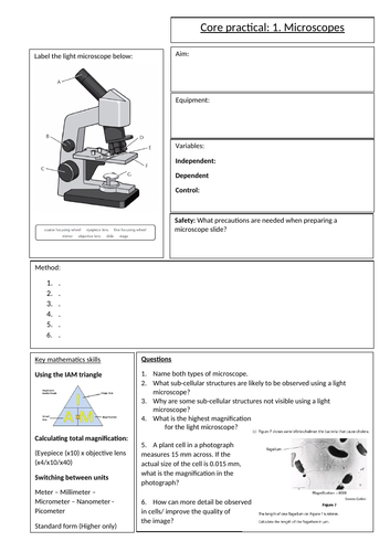 Biology Gcse Edexcel Core Practical Sheets Revision Teaching Resources