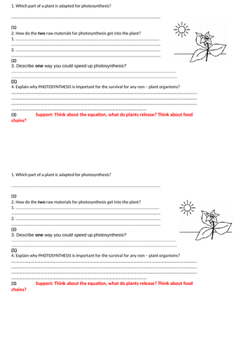 Photosynthesis Full Lesson and Lesson Plan | Teaching Resources