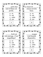 French Demonstrative Adjectives - 75 Practice Cards | Teaching Resources
