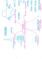 Homeostasis revision mat | Teaching Resources