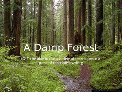 Descriptive Writing - A DAMP FOREST Literary Techniques | Teaching ...