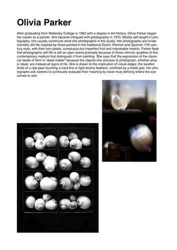 Photographer Factsheets / Research Pages | Teaching Resources