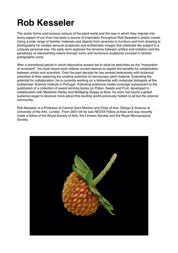 Photographer Factsheets / Research Pages | Teaching Resources