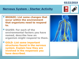 GCSE 9-1 Science Biology Nervous System Neurone Voluntary Involuntary ...