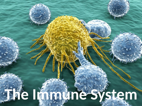AS/A2 Level Year 12/13 Immune System Immunity Full Lesson Presentation ...