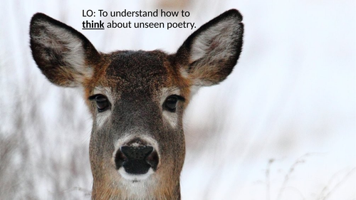 The Buck in the Snow - How to unlock a poem | Teaching Resources