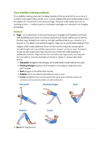 Unit 2 Fitness Training and Programming: D | Teaching Resources Unit 2 Fitness Training and Programming: D | Teaching Resources