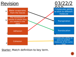 Revision transpiration translocation | Teaching Resources