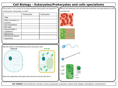 AQA 4.1 Cell Biology Revision Mats | Teaching Resources