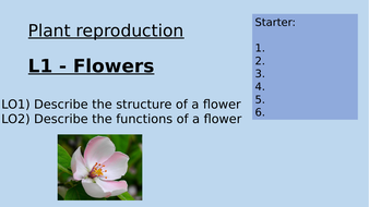 KS3 Plant Reproduction Lessons | Teaching Resources
