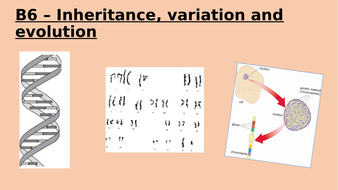 9-1 AQA B6 Inheritance, variation, evolution | Teaching Resources