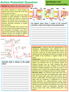 FREE GCSE A Level Biology Action Potentials Practice Exam Question ...