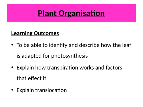 GCSE Bio- Plant organs, tissues and systems revision in 30 mins ...