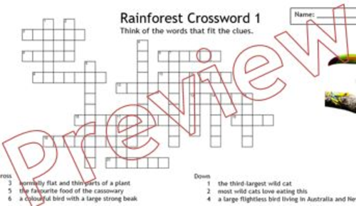 Rainforest KS2 Thinking Activities | Teaching Resources