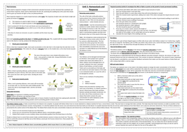 Unit 5 Homeostasis and Response - summary for separate Biology AQA ...