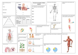 Structure & Function of Body Systems (Levels of organisation) Revision ...
