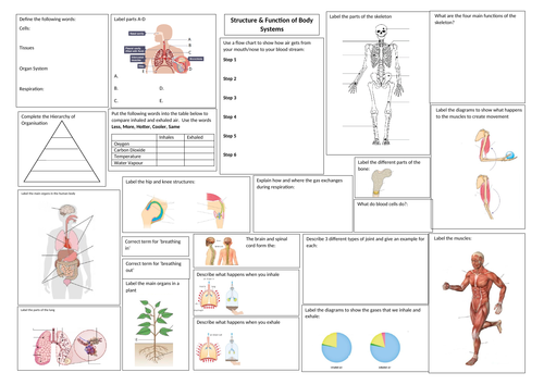Ks3 Science Revision Mats Teaching Resources