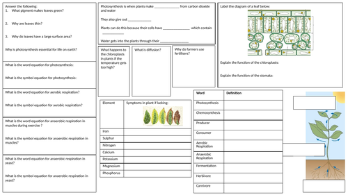 Ks3 Science Revision Mats Teaching Resources