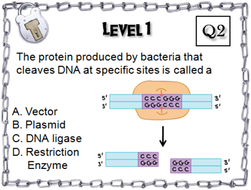 Gene Cloning and Genetic Engineering Activity: Science Escape Room ...