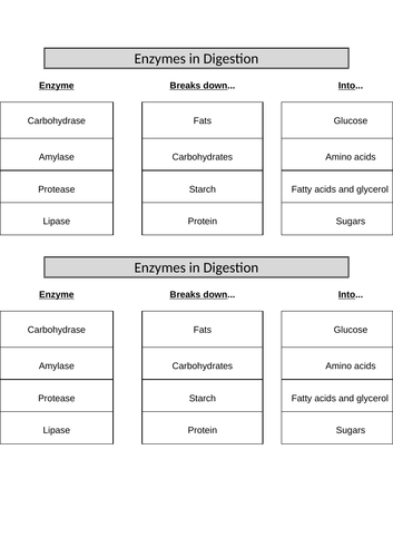 Enzymes in digestion | Teaching Resources
