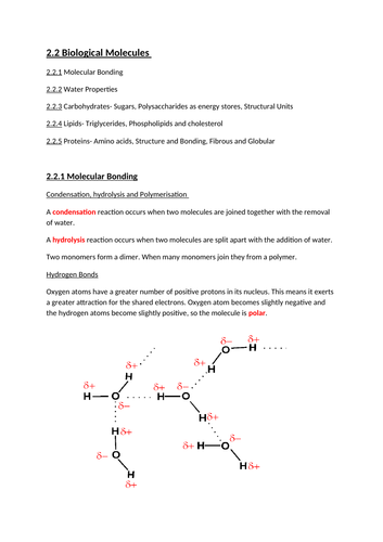 Biology Module 2 Revision Notes- All topics | Teaching Resources