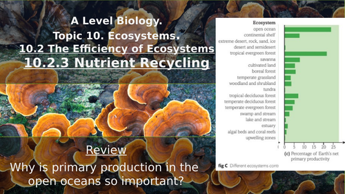 Nutrient Recycling (Carbon & Nitrogen Cycles) | Teaching Resources