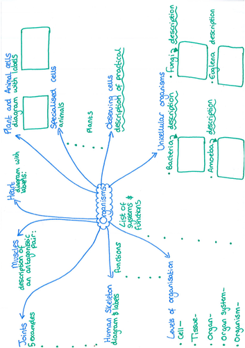Yr 7 Organisms Revision Mat | Teaching Resources