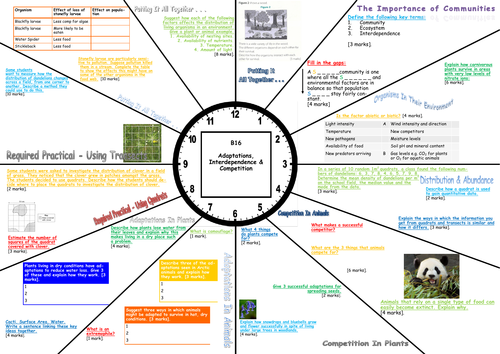 AQA GCSE Biology B16 Adaptations, Interdependence & Competition Revision Clock | Teaching Resources