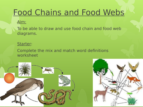 Food chains and food webs | Teaching Resources