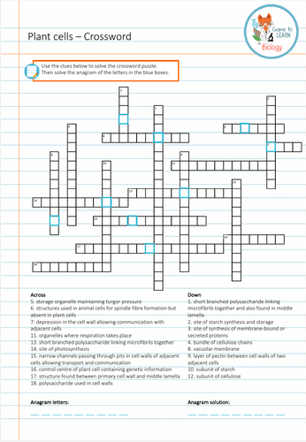 Plant Cells - Crossword (KS5) | Teaching Resources