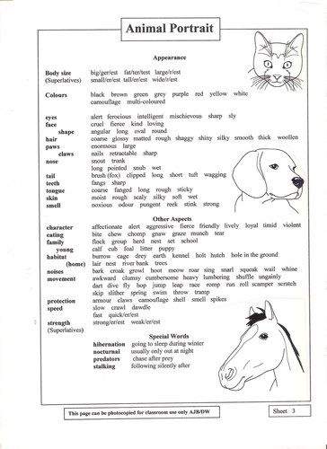 Animal Story Ideas Domestic to Wild | Teaching Resources