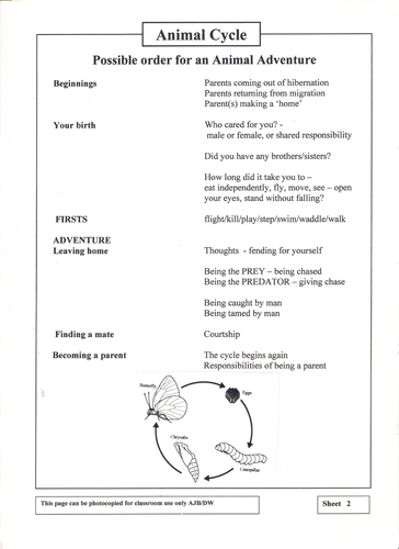 Animal Story Ideas Domestic to Wild | Teaching Resources