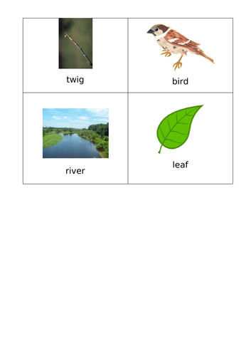 The Lost Words KS1 Literacy planning | Teaching Resources