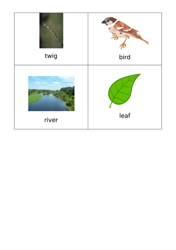 The Lost Words KS1 Literacy planning | Teaching Resources