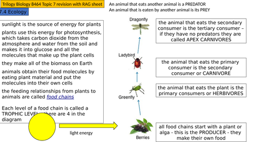 Trilogy, Ecology revision & RAG sheet | Teaching Resources