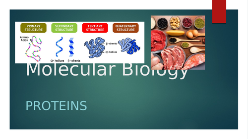 IB Biology Topic 2 - Molecular Biology | Teaching Resources