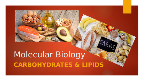 IB Biology Topic 2 - Molecular Biology | Teaching Resources