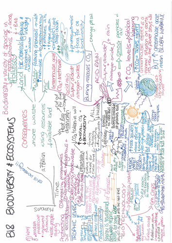 B18 Knowledge organiser Biodiversity and ecosystems ONE PAGE REVISION ...