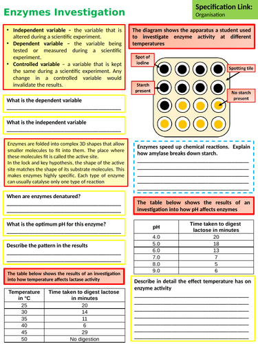 19 KS4 GCSE AQA 9-1 Science Practical Investigations Exam Questions ...