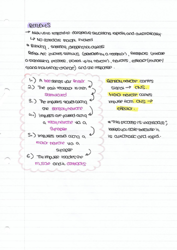 AQA GCSE Biology Reaction Time | Teaching Resources AQA GCSE Biology Reaction Time | Teaching Resources