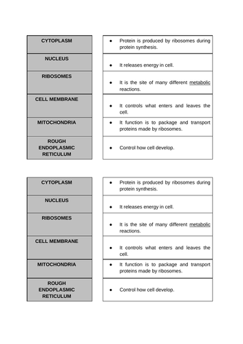 CIE IGCSE Unit: Organisation of the Organism | Teaching Resources