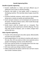 KS4 AQA GCSE Biology (Science) Genetic Engineering Lesson & Activities ...