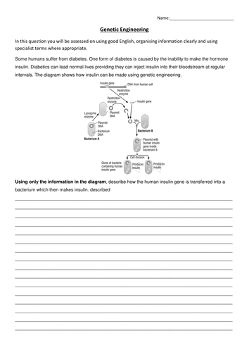 KS4 AQA GCSE Biology (Science) Genetic Engineering Lesson & Activities ...