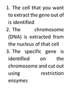 KS4 AQA GCSE Biology (Science) Genetic Engineering Lesson & Activities ...