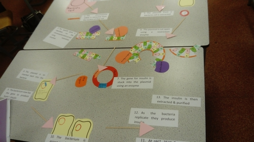 KS4 AQA GCSE Biology (Science) Genetic Engineering Lesson & Activities ...